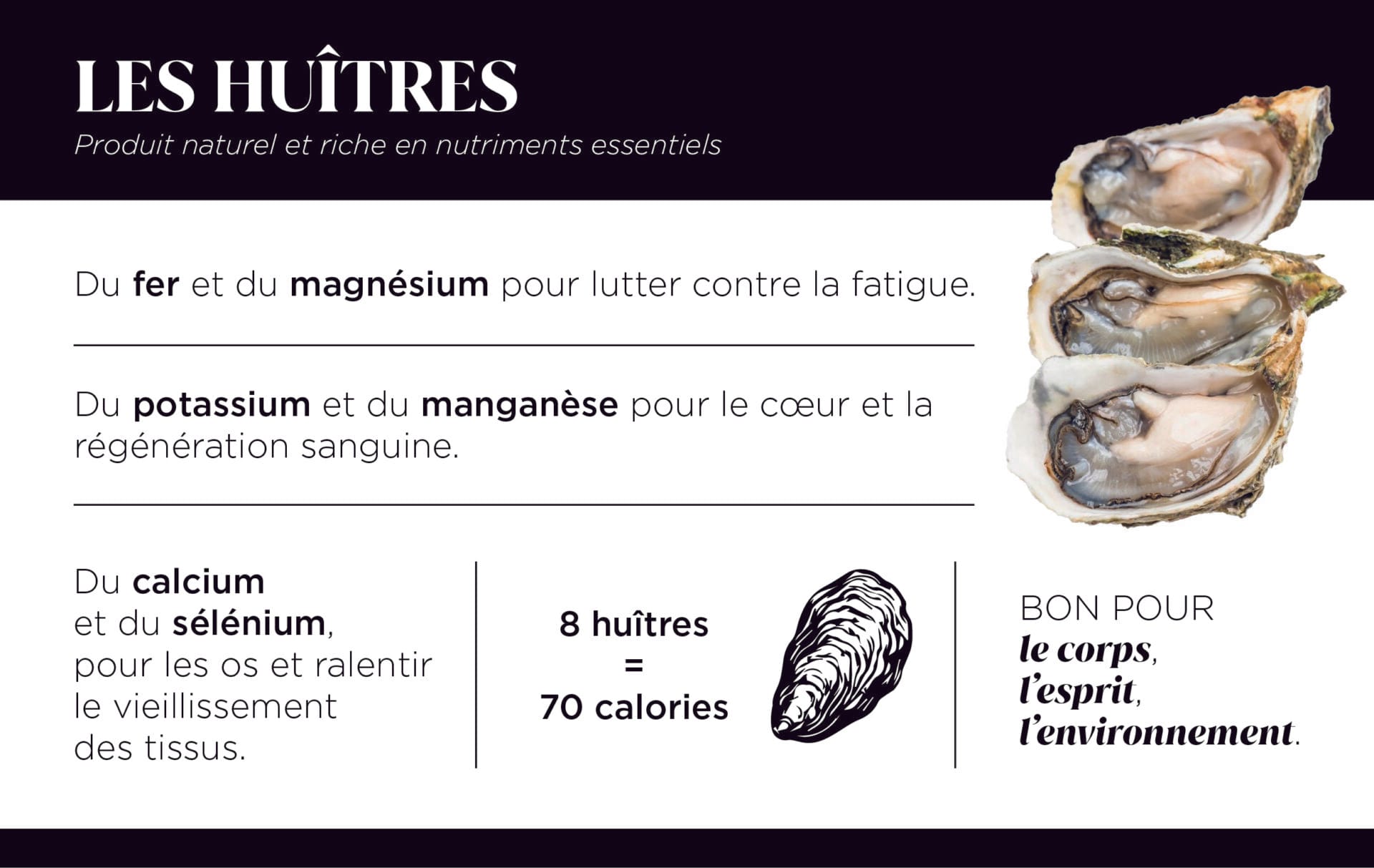 L'Huitre - Tout savoir sur l'huitre